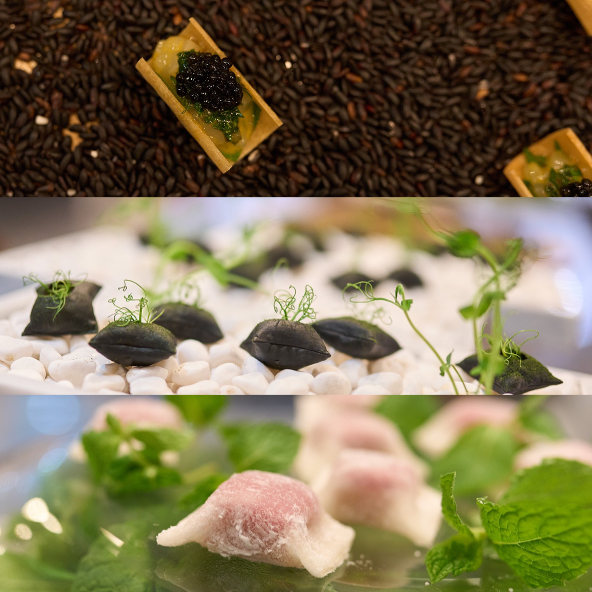 NEWS「イベントレポート Le Mange-tout × Grove Dish × TROIS VISAGES」｜TROIS VISAGES ...